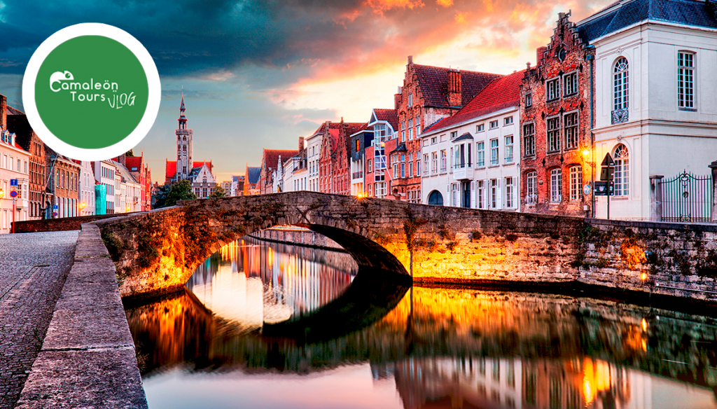 Vlog - Camaleontours